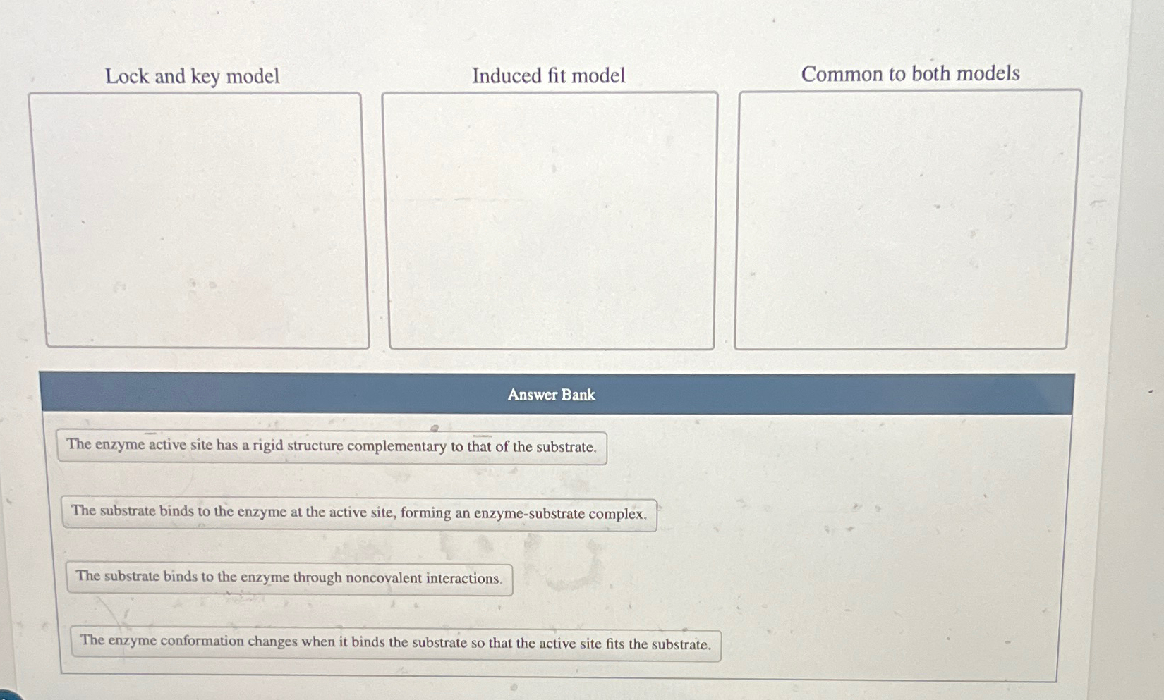 Solved Lock and key modelInduced fit modelCommon to both | Chegg.com