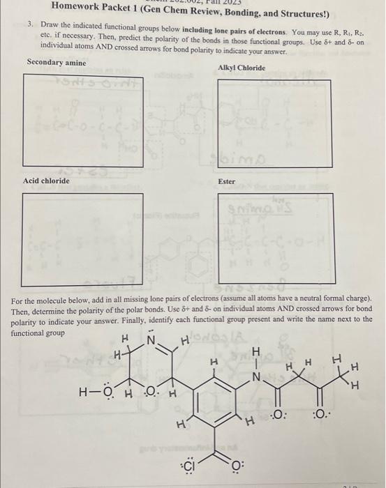 3. Draw the indicated functional groups below | Chegg.com