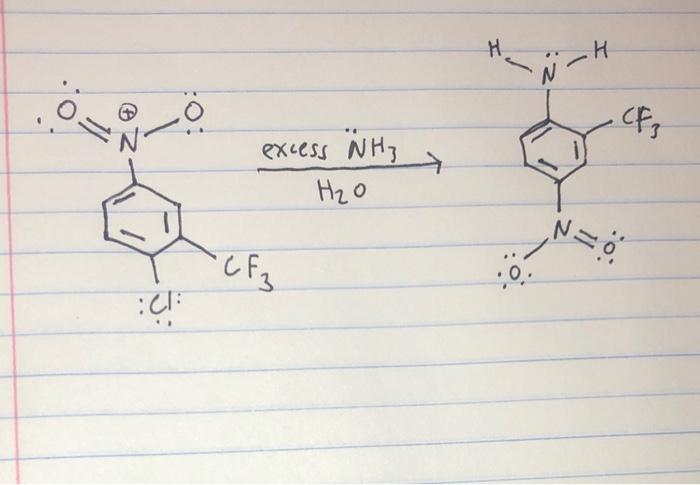 Solved H NH CF3 excess NH3 H₂O 'CF₂ :02 :C! | Chegg.com