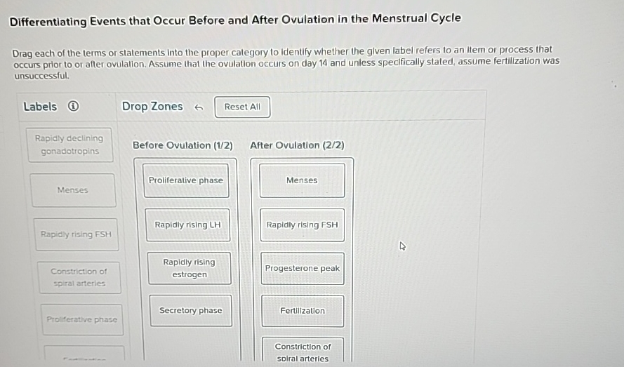 Solved Differentiating Events that Occur Before and After | Chegg.com