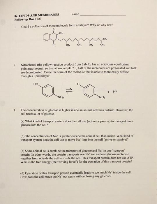 Solved 8c. LIPIDS AND MEMBRANES name Follow-up Due 10/5 1. | Chegg.com