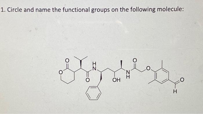 Solved 1. Circle and name the functional groups on the | Chegg.com