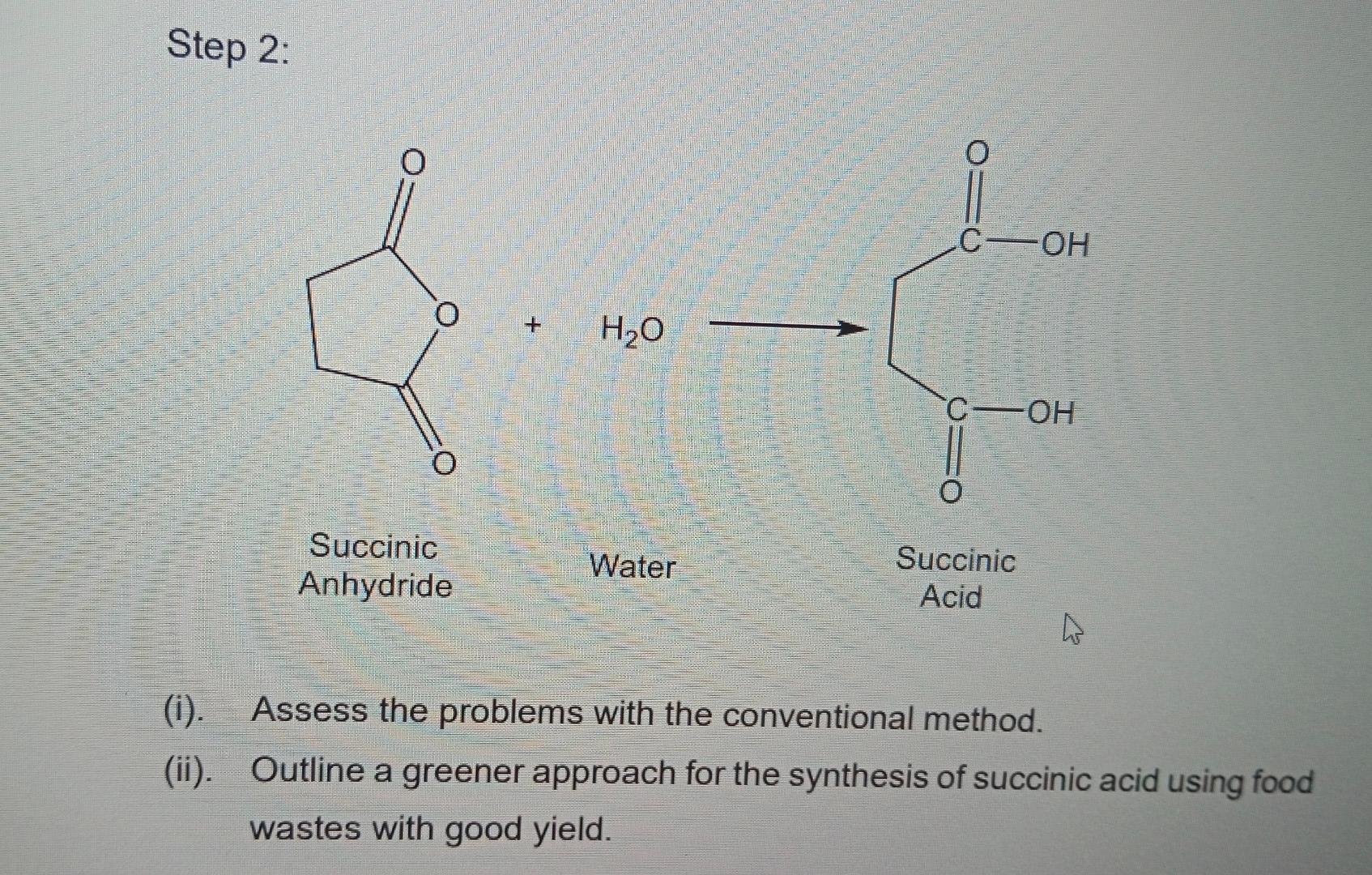 Solved Step 2: (i). (ii). Succinic Anhydride H₂O Water COH C | Chegg.com