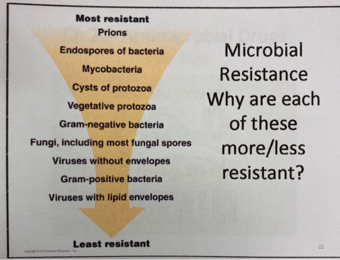 Solved Most resistant Prions Endospores of bacteria | Chegg.com