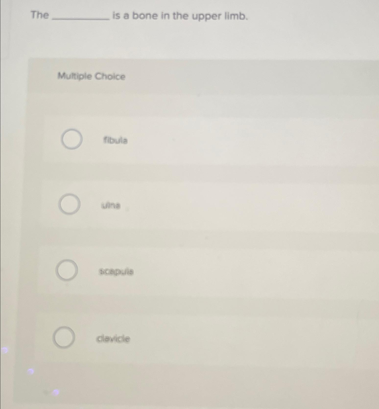 Solved The is a bone in the upper limb.Multiple | Chegg.com