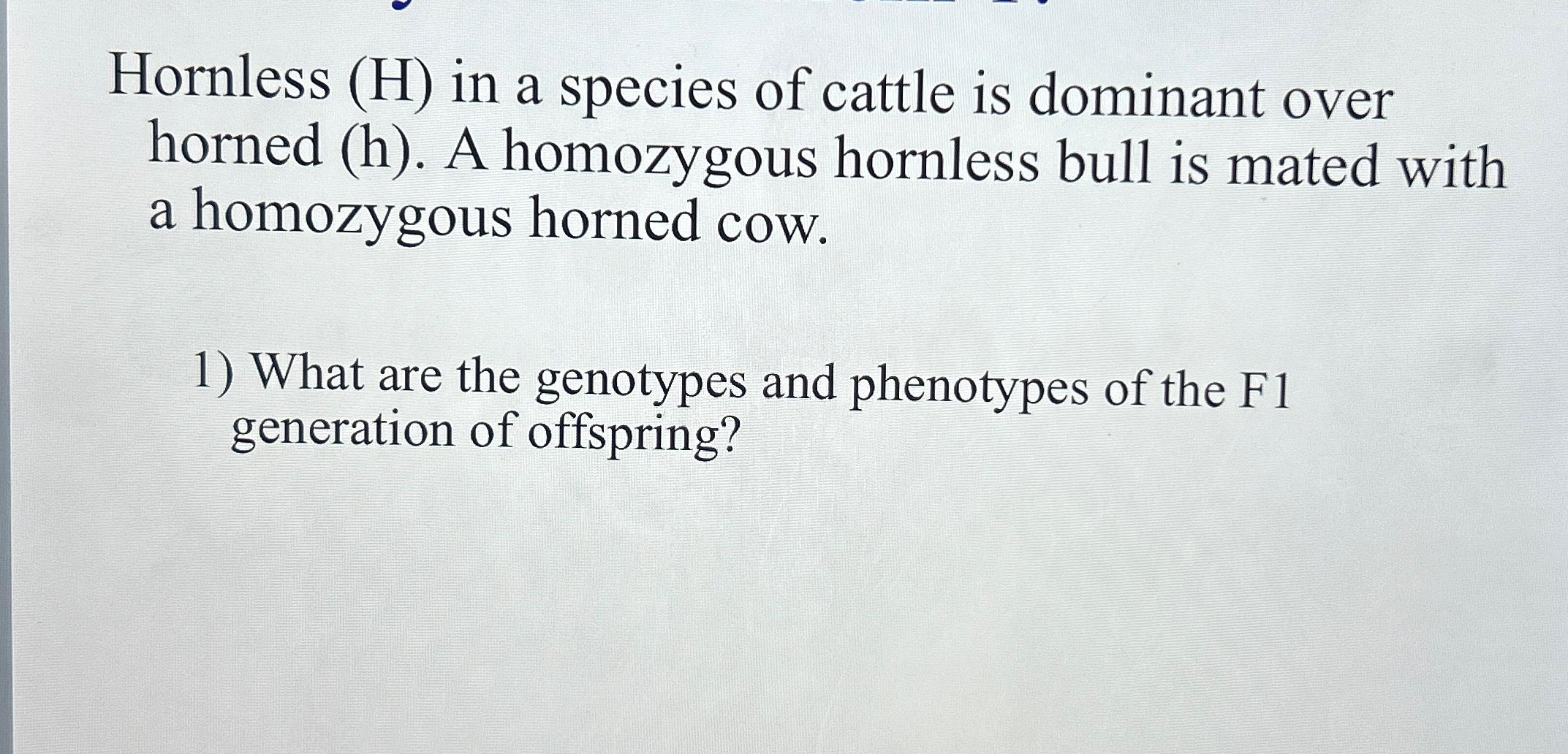 Hornless (H) ﻿in a species of cattle is dominant over | Chegg.com