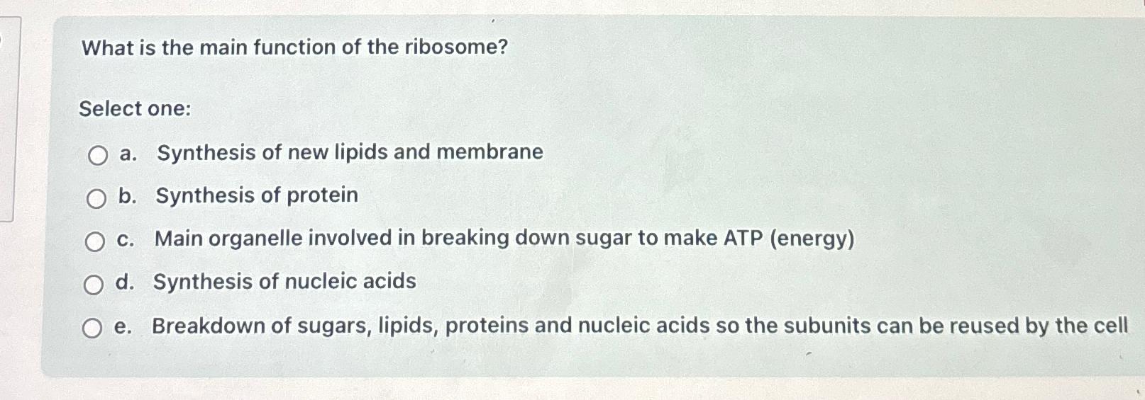 Solved What is the main function of the ribosome?Select | Chegg.com