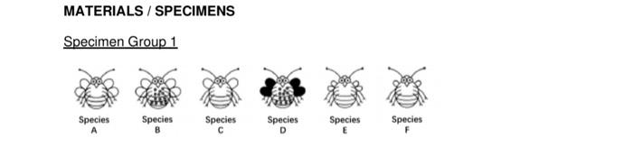 Solved For specimen group 11. Create an alternative | Chegg.com