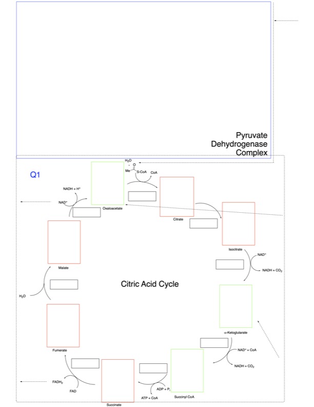 Solved Please fill in the chart | Chegg.com Solved Please fill in the chart | Chegg.com