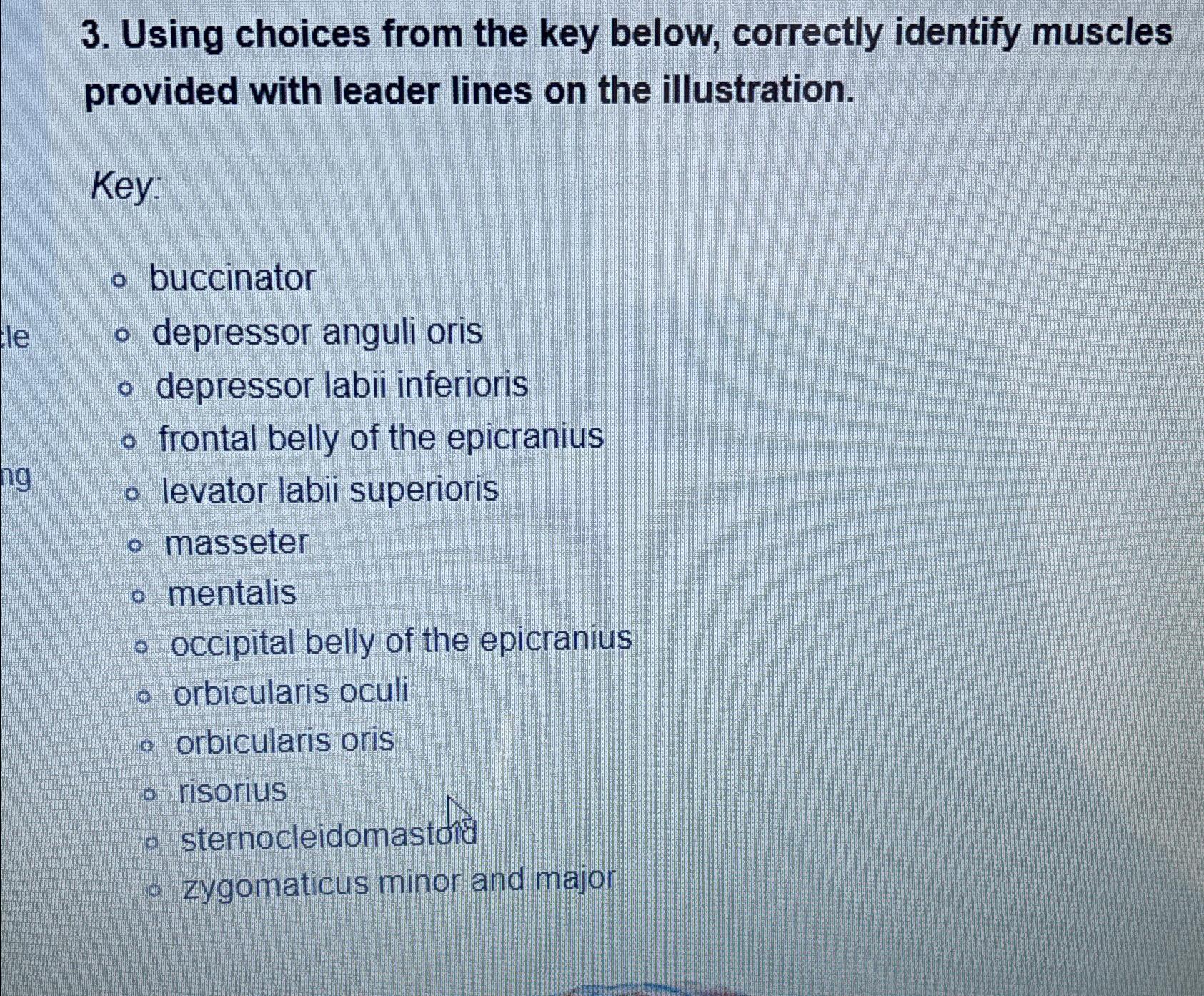 Solved Using choices from the key below, correctly identify | Chegg.com