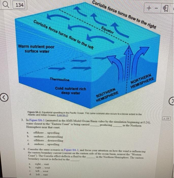 133 ng and Downwelling Model + The conceptual | Chegg.com