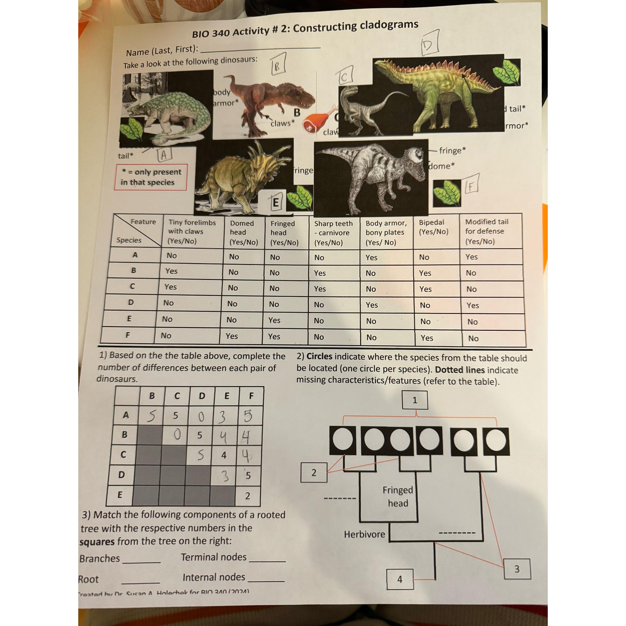 BIO 340 ﻿Activity # 2: Constructing cladogramsName | Chegg.com