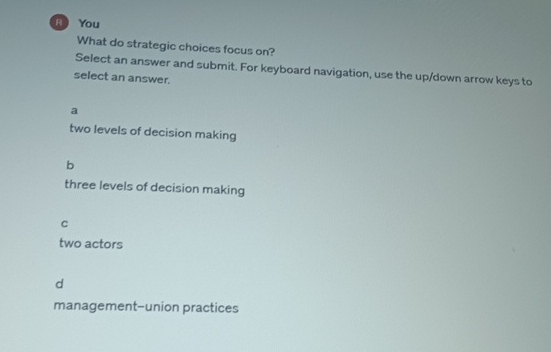 Solved You What do strategic choices focus on? Select an | Chegg.com
