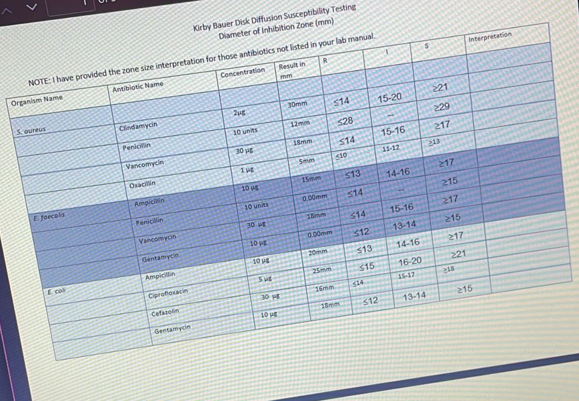 Solved Kirby Bauer Disk Diffusion Susceptibility | Chegg.com