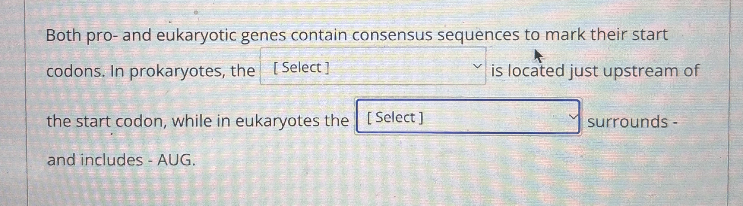 Solved Both pro- ﻿and eukaryotic genes contain consensus | Chegg.com