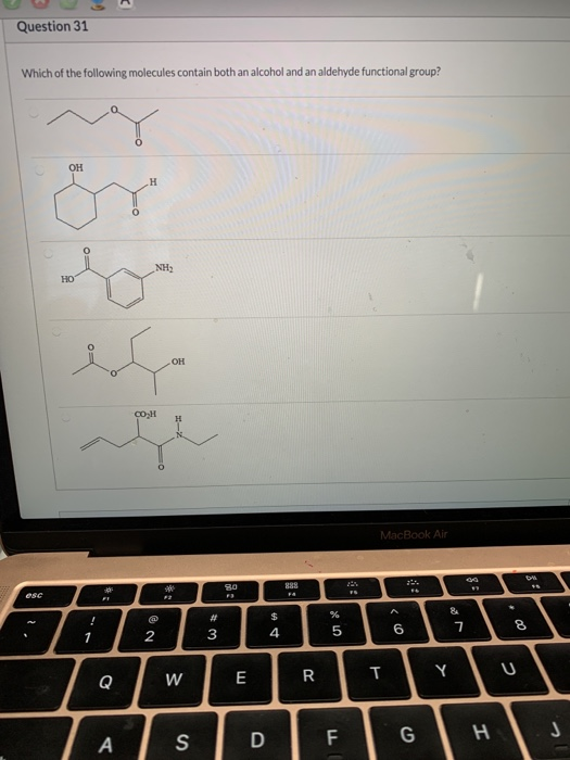 Solved Question 31 Which of the following molecules contain | Chegg.com