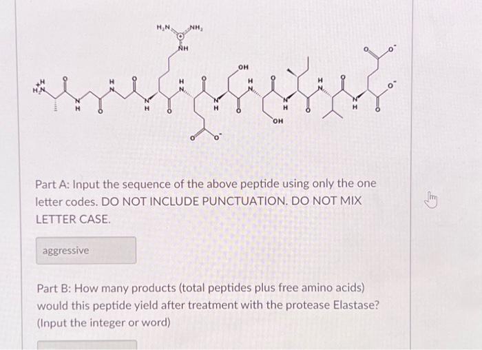 Solved Part A: Input the sequence of the above peptide using | Chegg.com