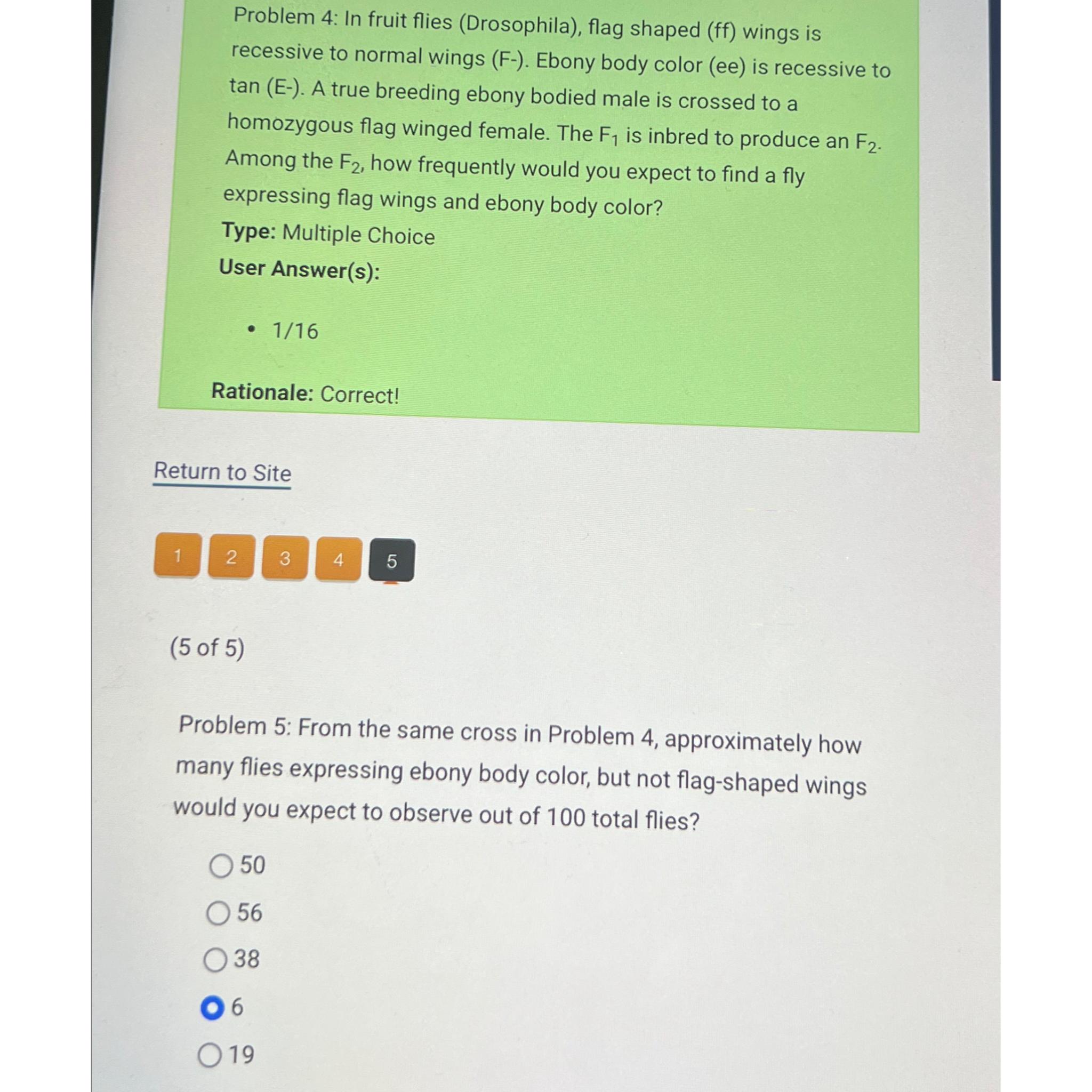 Solved Problem 4: In fruit flies (Drosophila), ﻿flag shaped | Chegg.com