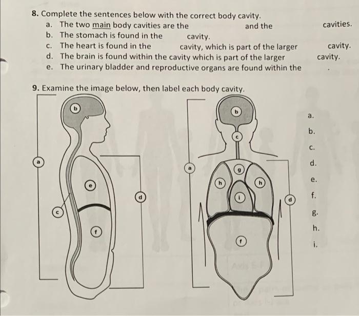 Solved cavities. 8. Complete the sentences below with the | Chegg.com