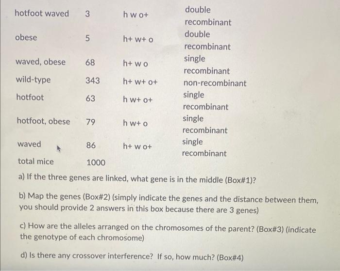 Solved The following three recessive alleles are known in | Chegg.com