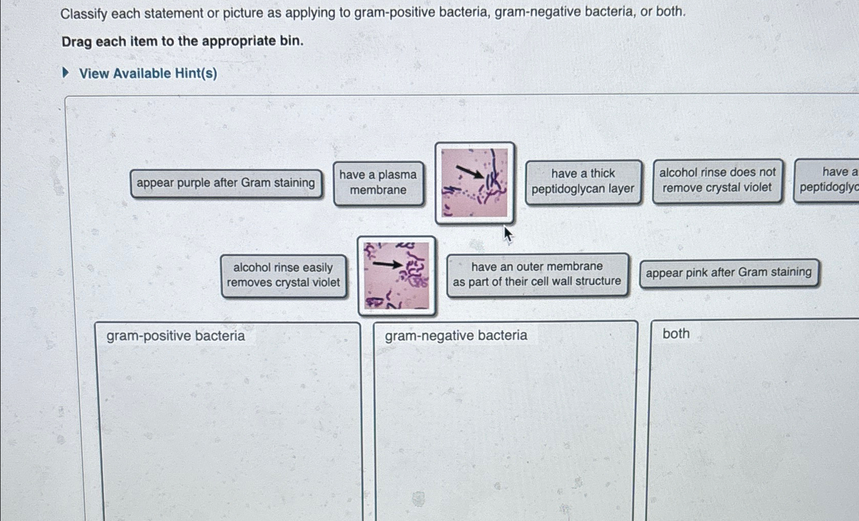 Solved Classify each statement or picture as applying to | Chegg.com