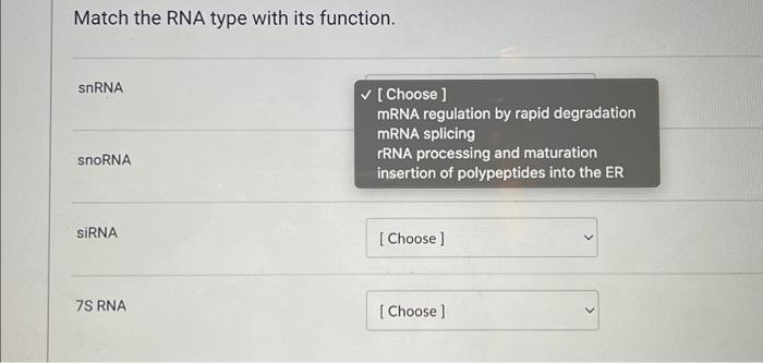Solved Match the RNA type with its function. snRNA snoRNA | Chegg.com