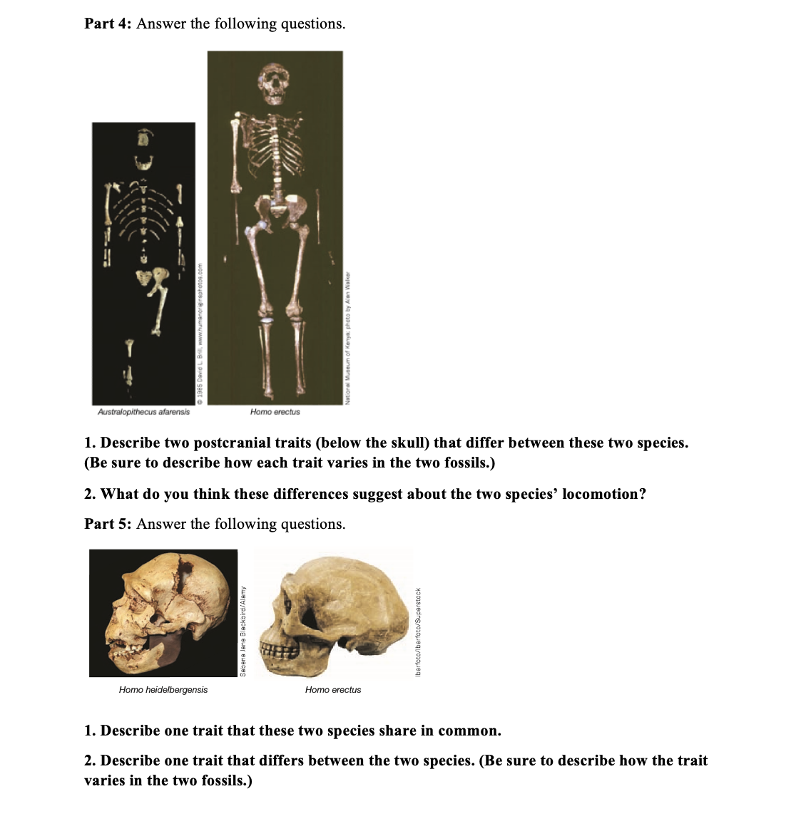 Solved Part 4: Answer the following questions. ﻿1. ﻿Describe | Chegg.com