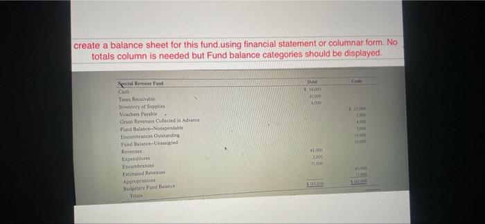 Solved create a balance sheet for this fund using financial | Chegg.com