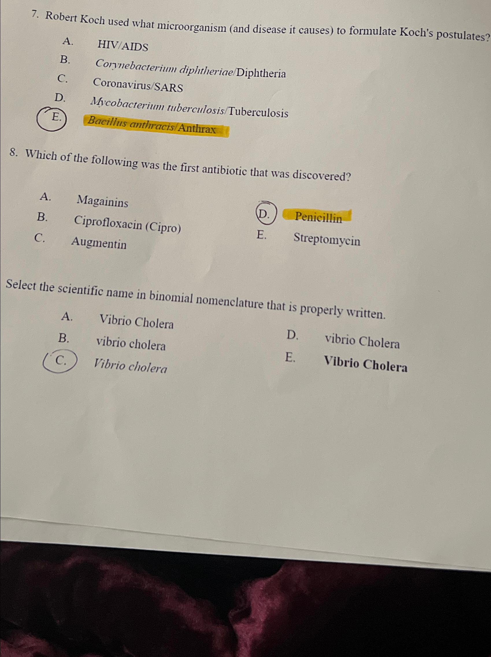 Solved Robert Koch used what microorganism (and disease it | Chegg.com