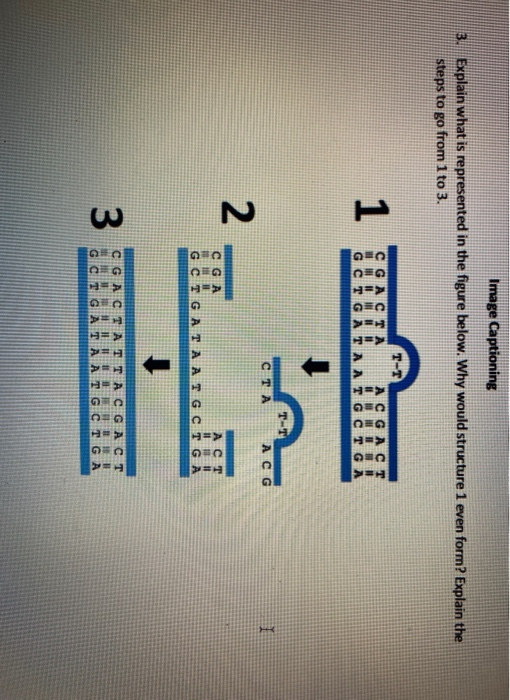 Solved Image captioning 3. Explain what is represented in | Chegg.com