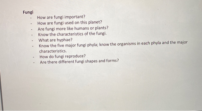 Solved Fungi How are fungi important? How are fungi used on | Chegg.com