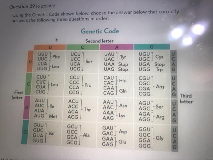 Solved GUA GUG GCG 1) If the trinucleotide sequence was AAG, | Chegg.com