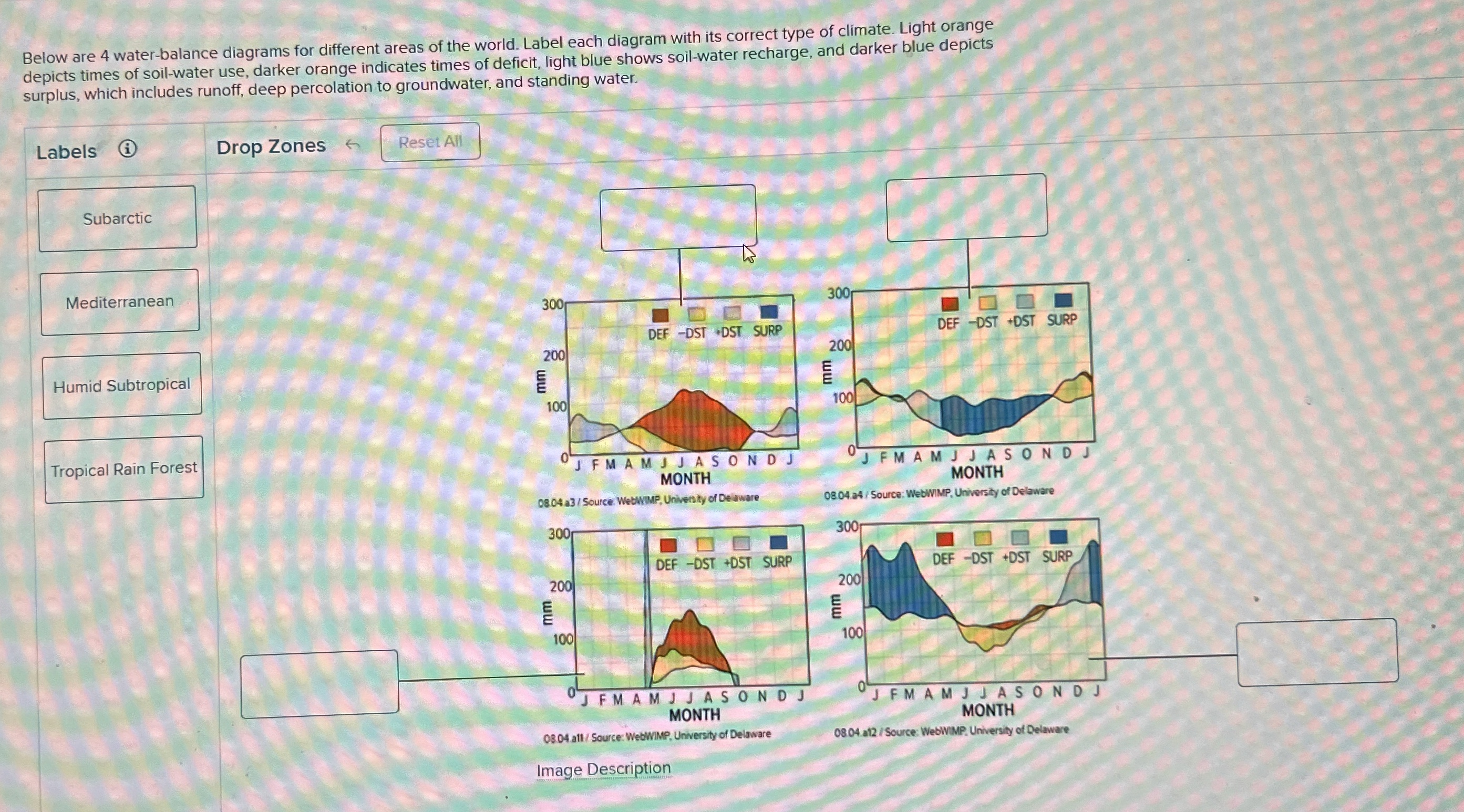 Solved Below are 4 ﻿water-balance diagrams for different | Chegg.com