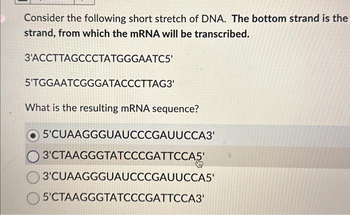 Solved Consider the following short stretch of DNA. The | Chegg.com