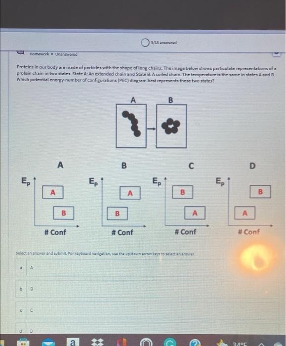 Solved 9/answered Homework Unanswered Proteins in our body | Chegg.com