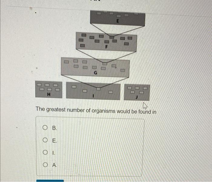 Solved The accompanying figure shows the hierarchy of | Chegg.com