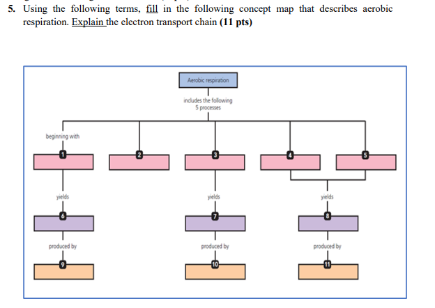 Solved Using the following terms, fill in the following | Chegg.com