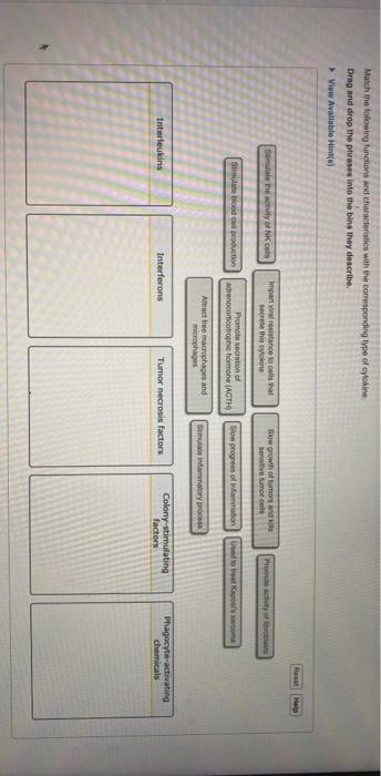 Solved Match the following functions and characteristics | Chegg.com