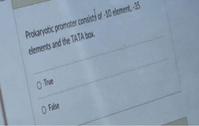 Solved Prokaryotic promoter consists of -10 element, -35 | Chegg.com