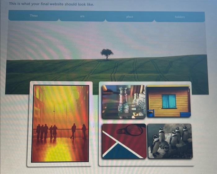 Solved CSI 140 webedeveloper. How to compile and fix | Chegg.com
