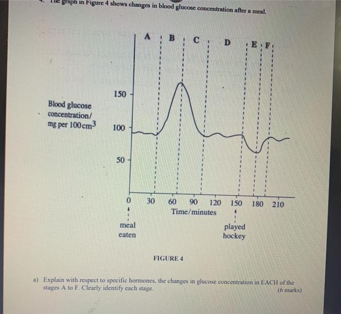 Solved graph in Figure 4 shows changes in blood glucose | Chegg.com