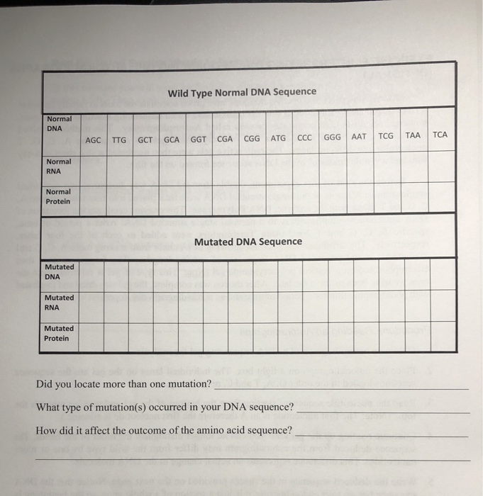 Solved EXERCISE F: INTERPRETING DNA SEQUENCING GEL | Chegg.com
