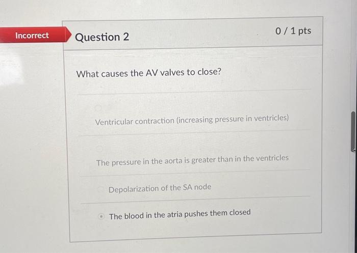 Solved What causes the AV valves to close? Ventricular | Chegg.com