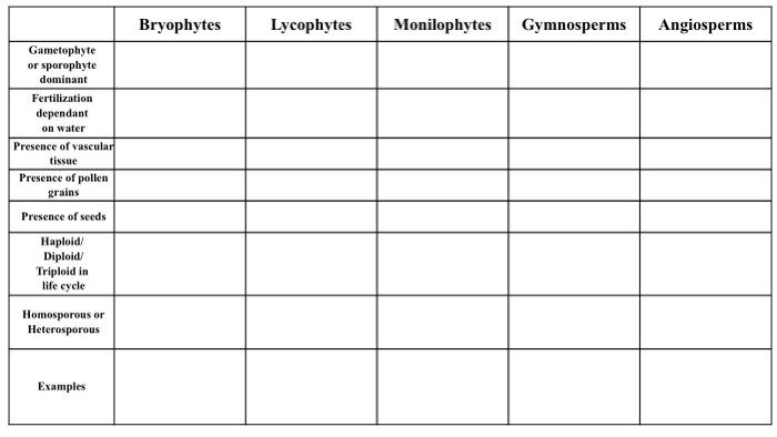 Solved Bryophytes Lycophytes Monilophytes Gymnosperms | Chegg.com