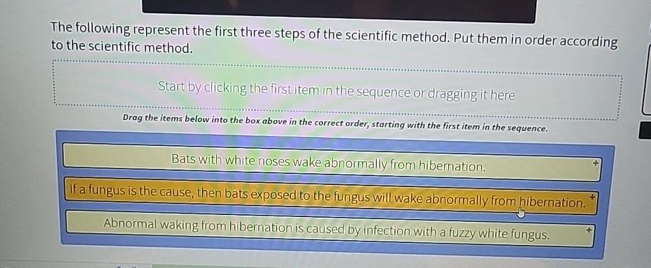 Solved The following represent the first three steps of the | Chegg.com