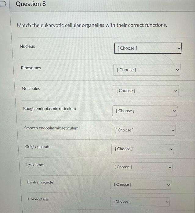 Solved Match the eukaryotic cellular organelles with their | Chegg.com