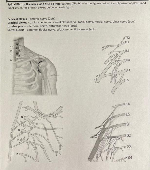 Solved i just want to see if I answered it correctly and if | Chegg.com