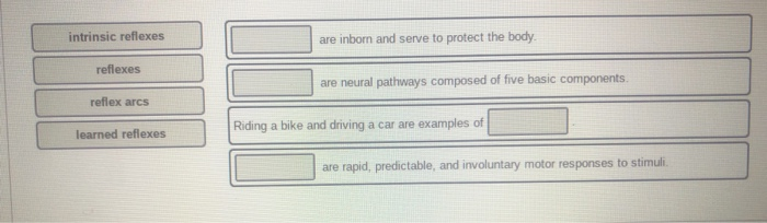 Solved intrinsic reflexes are inborn and serve to protect | Chegg.com