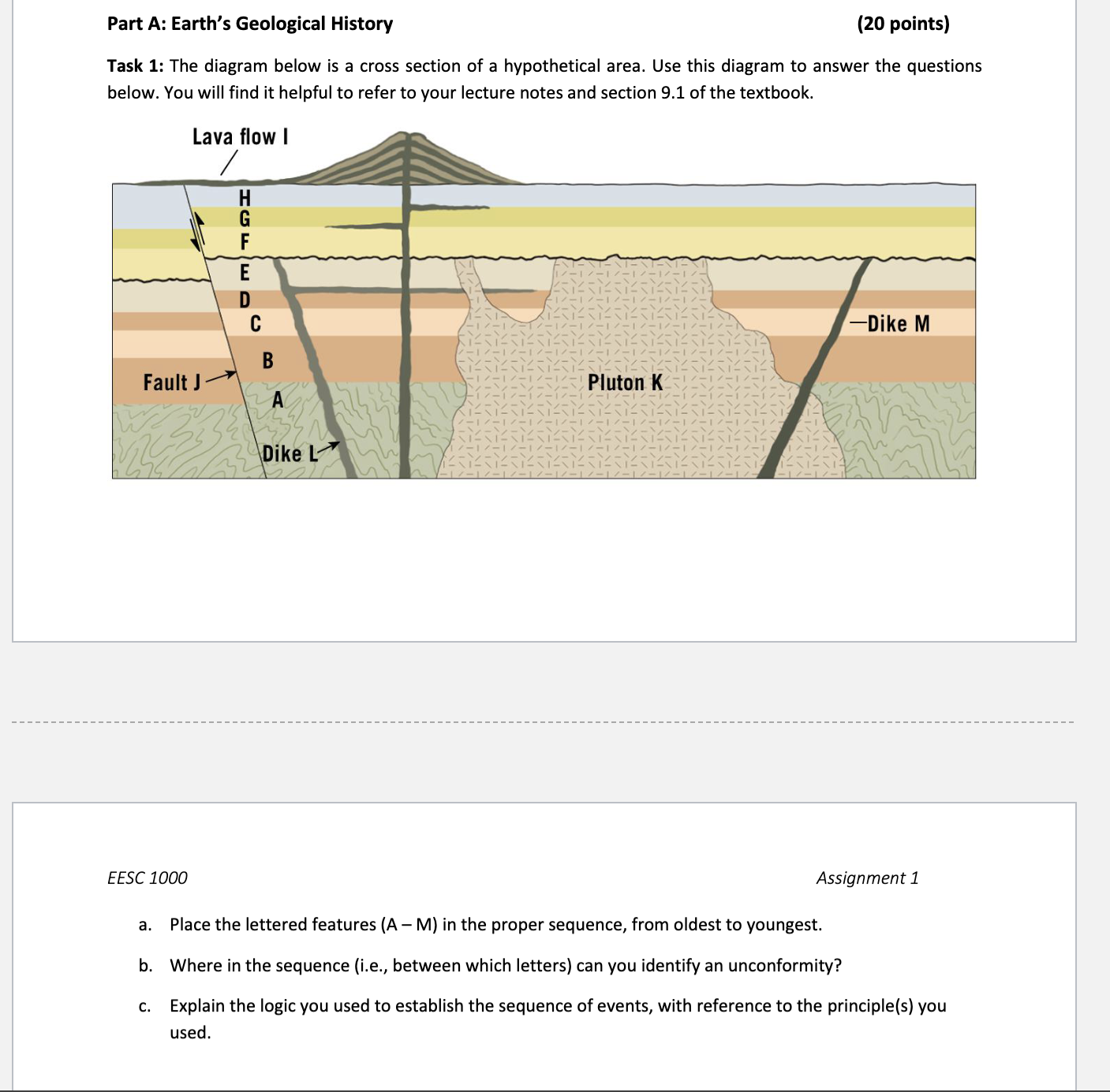 Solved Place the lettered features in proper sequence, from | Chegg.com