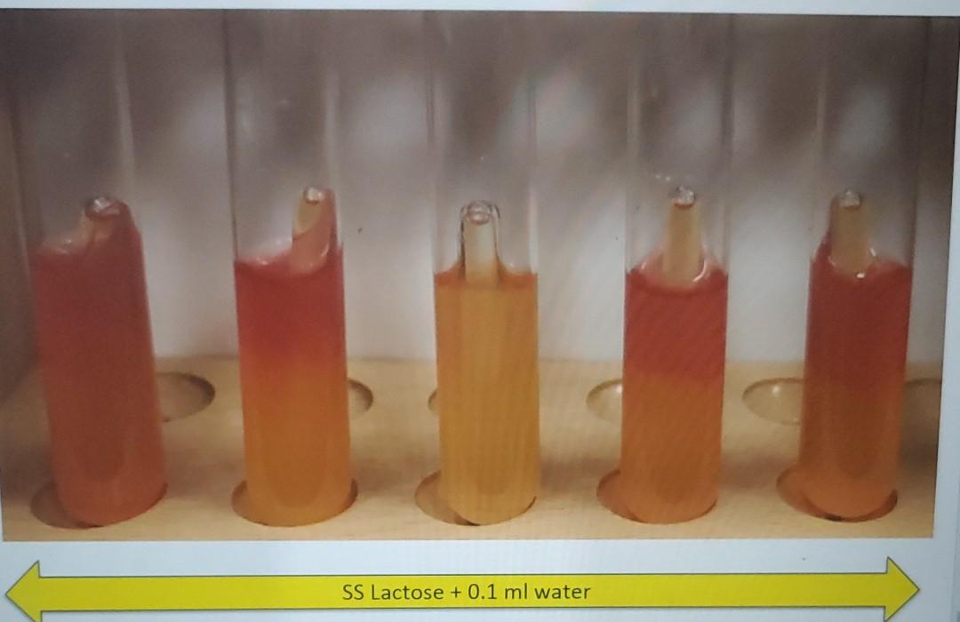 Identify, count and report the number of water | Chegg.com